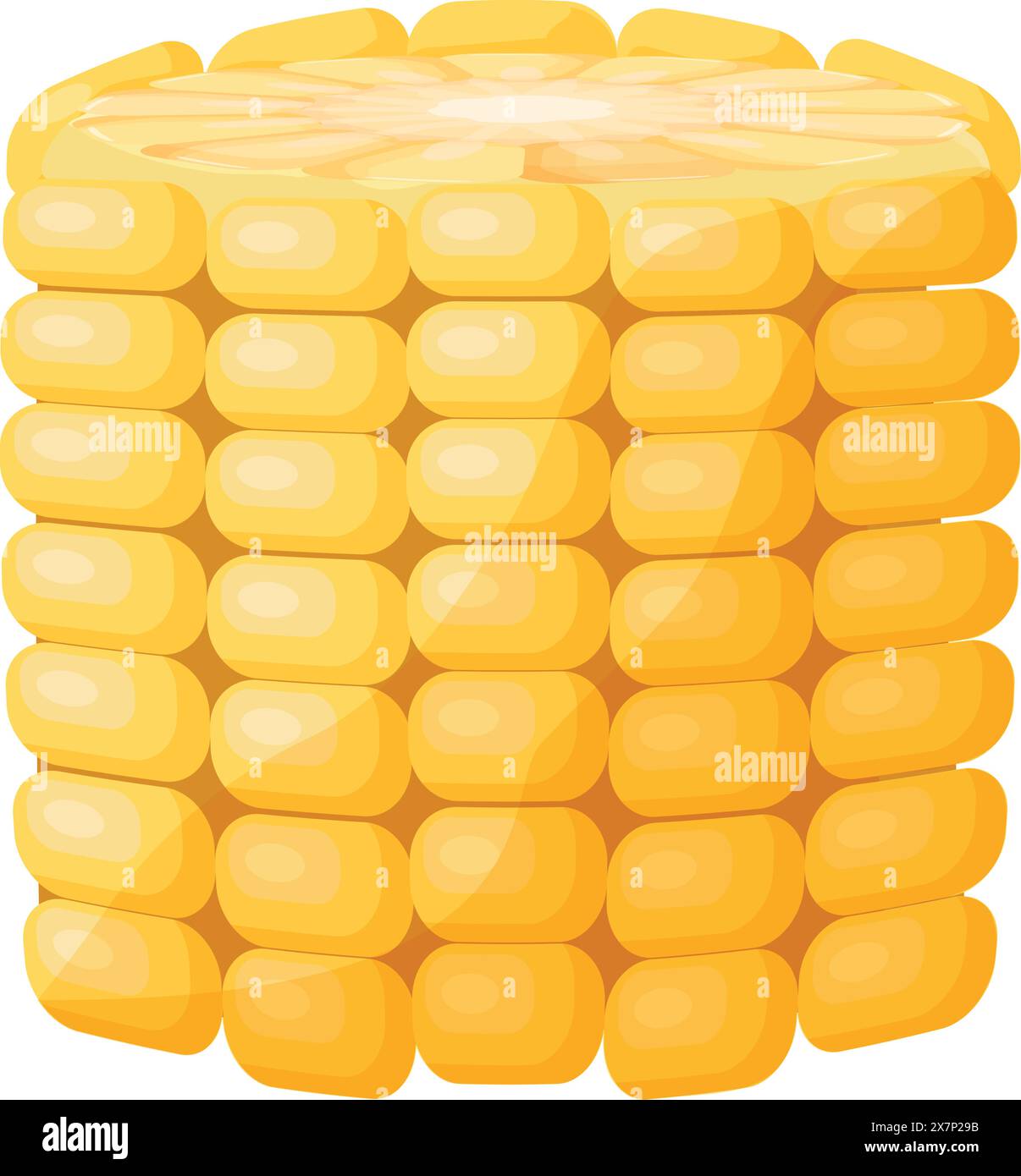 Fresh cartoon corn cob illustration Stock Vector Image & Art - Alamy