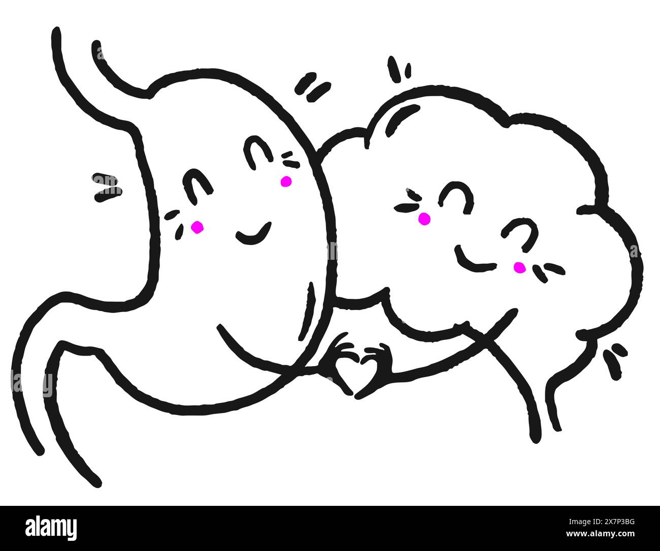 Gut brain anatomy hi-res stock photography and images - Alamy