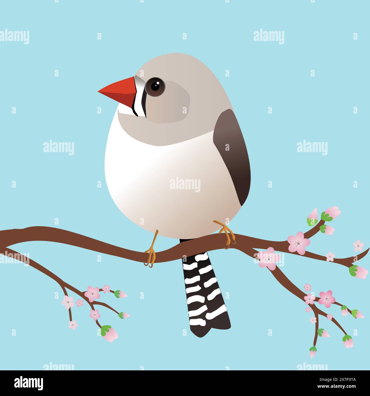 A very cute female zebra finch bird in the shape of an egg. Blue ...