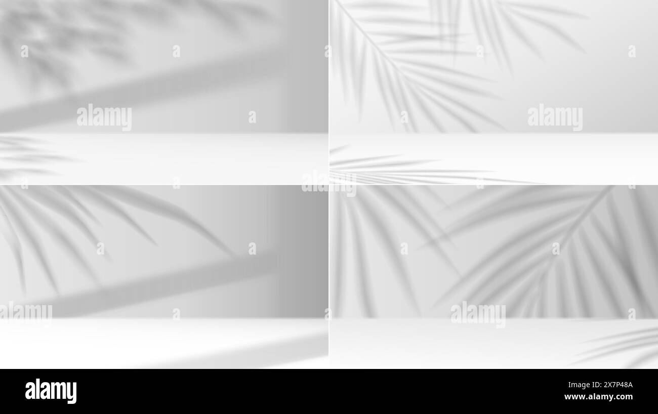 Empty stages with exotic leaves shadows realistic vector illustration ...