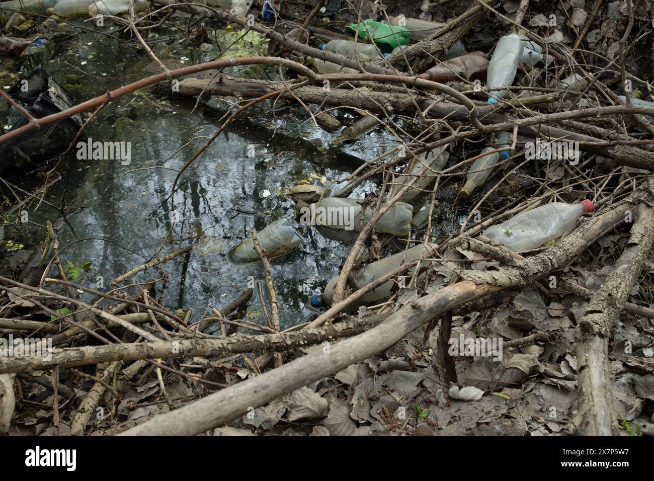 Plastic waste in the forest. Pollution of the environment Stock Photo ...