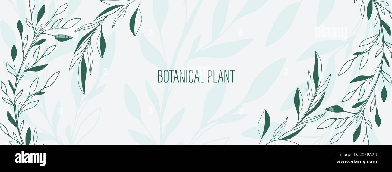 Design banner plant nature hand drawn. Plant botanical element.Elegante ...