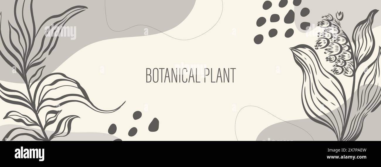 Design banner plant nature hand drawn. Plant botanical element.Elegante ...
