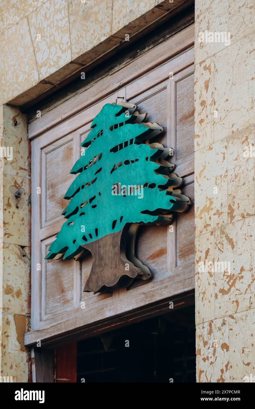 Green cedar, the symbol of Lebanon, on the facade of one of the ...