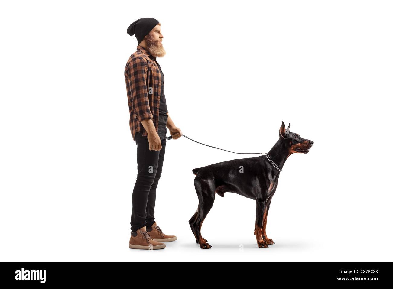 Full length profile shot of a bearded guy with a doberman dog isolated ...