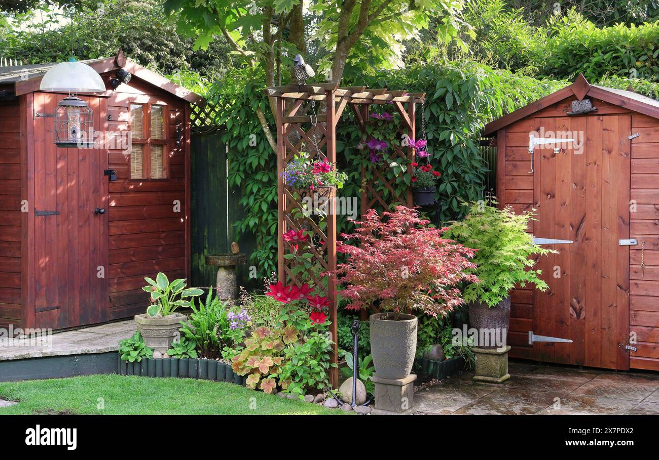 English back garden in Summer with shed, archway and water butts and ...