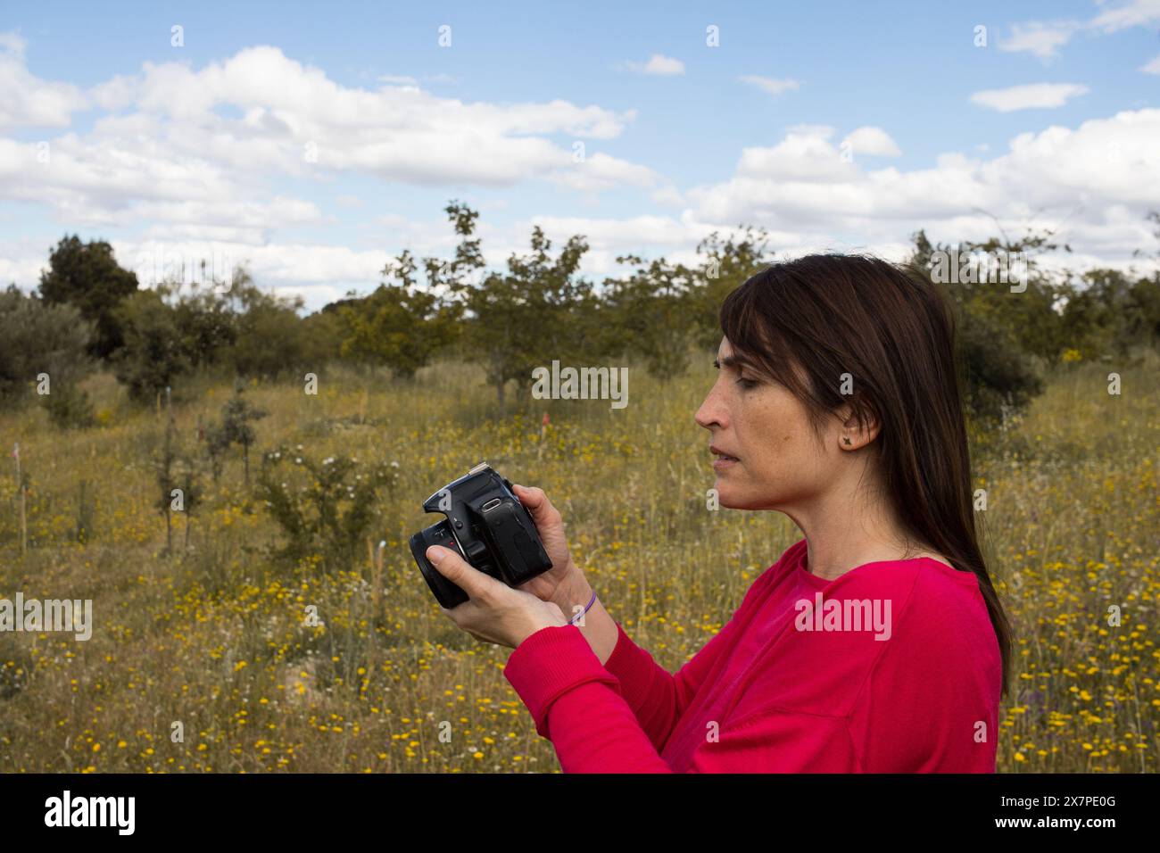 lady holding professional camera dslr, checking photos in a field with ...