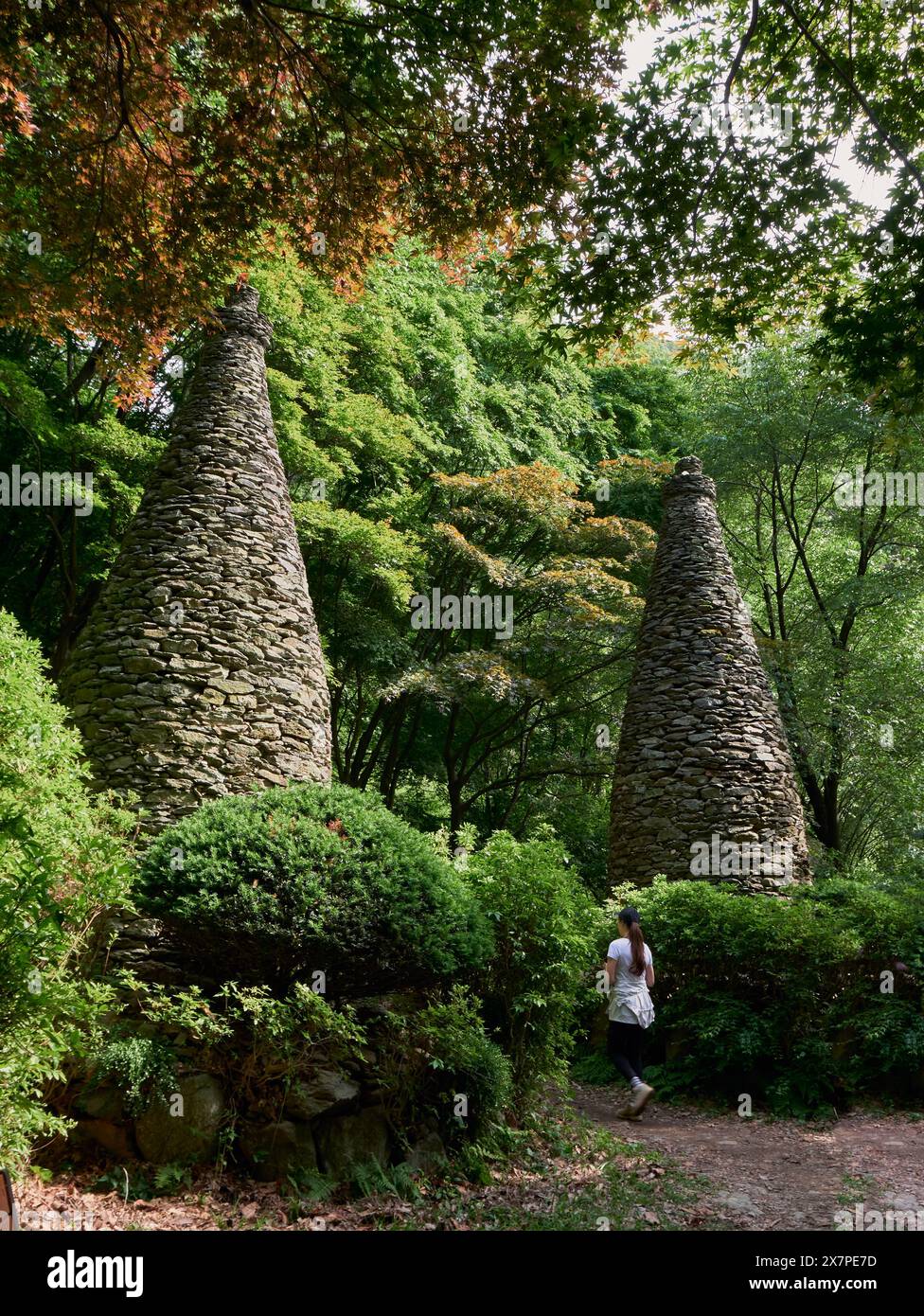 Forest trees dense walking hi-res stock photography and images - Alamy