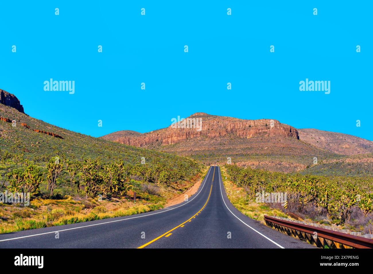 Straight road with yellow dividing lines, stretching into the distance ...