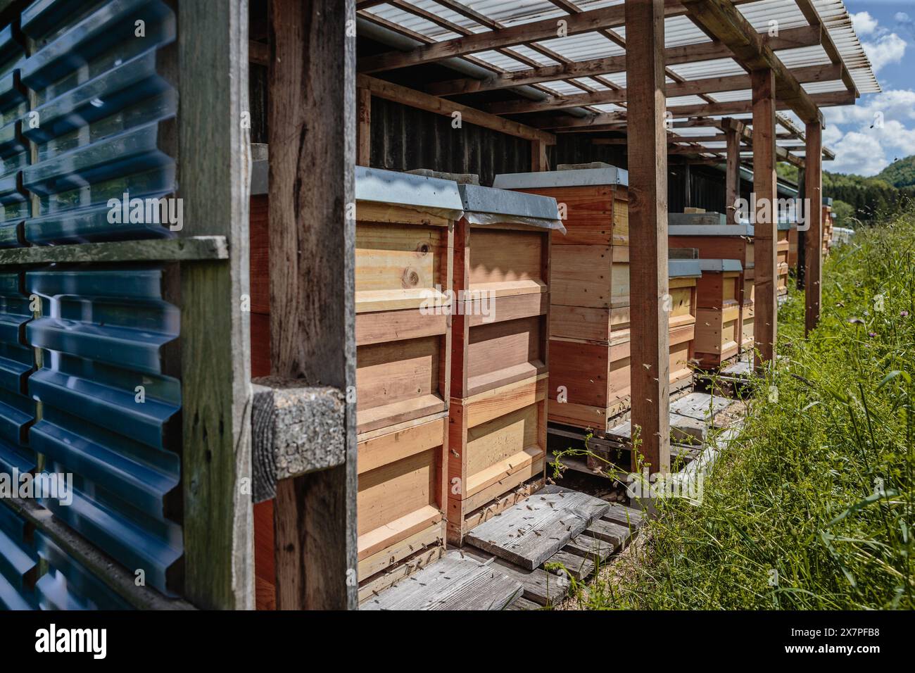 Man made bee hive hi-res stock photography and images - Alamy