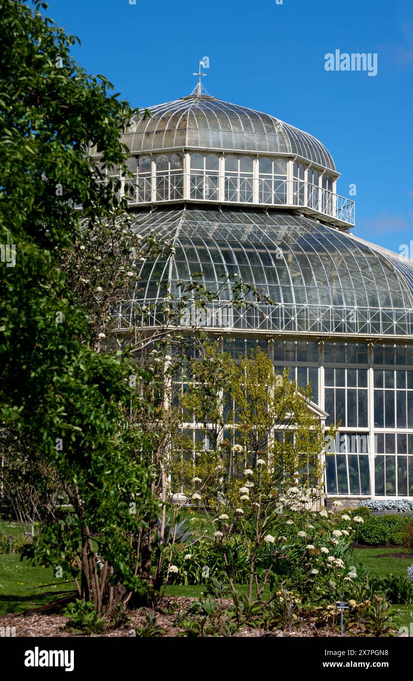 The National Botanic Gardens (Glasnevin) in Dublin , Ireland Stock ...
