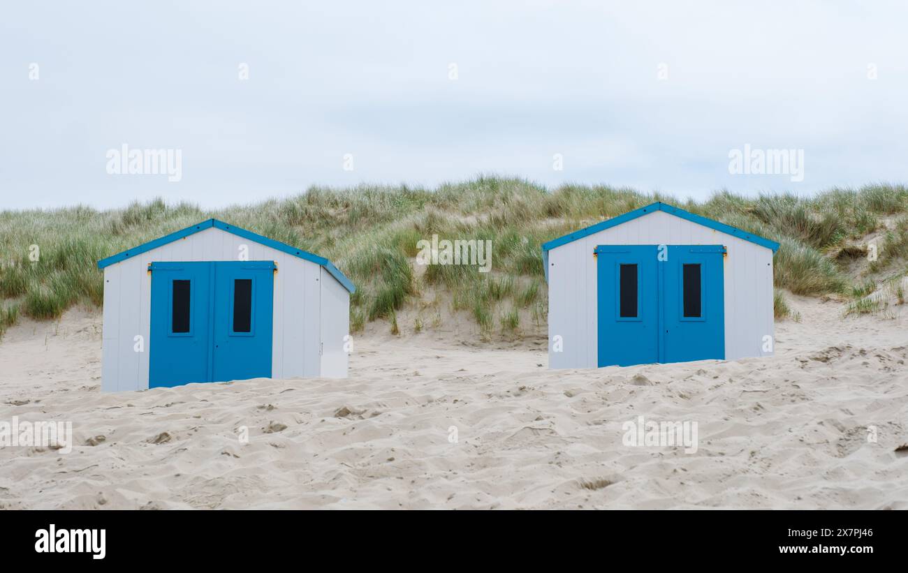 Two charming beach huts with vibrant blue doors stand out amidst the ...