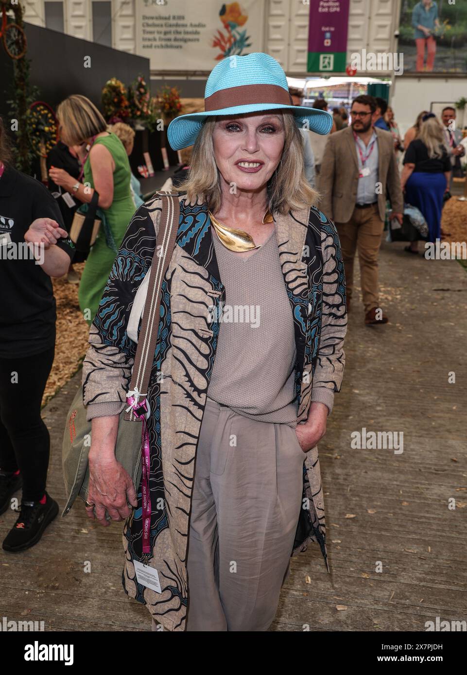 London, UK. 20th May, 2024. Dame Joanna Lumley seen attending the RHS ...