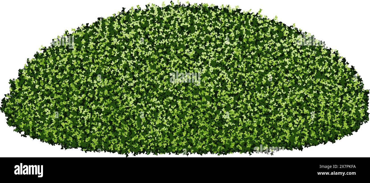 A green hill or alpine hill with bushes or a thick lawn. Elevation of ...