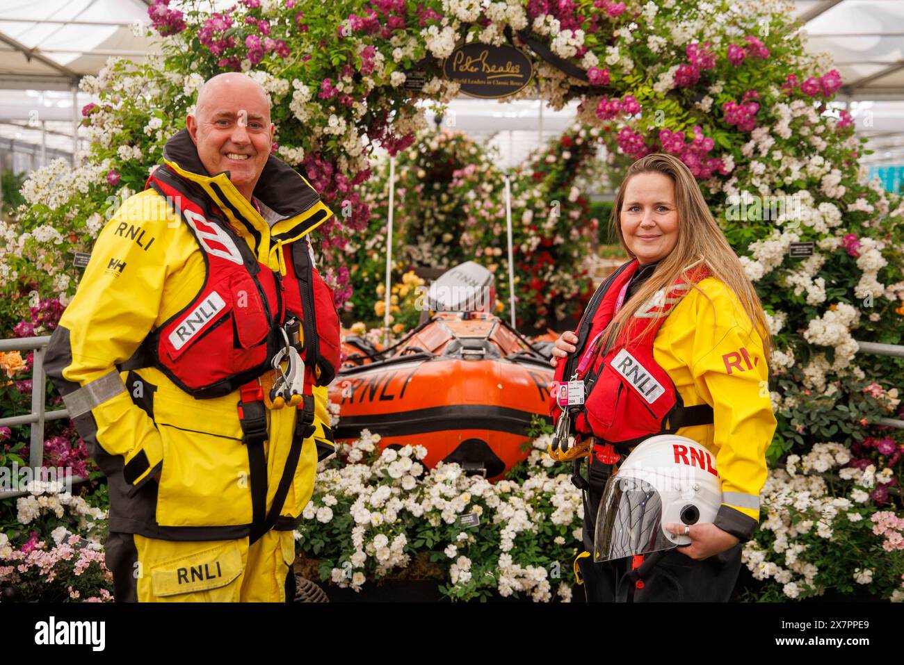 Rnlis 200th birthday rose at chelsea flower show hi-res stock ...