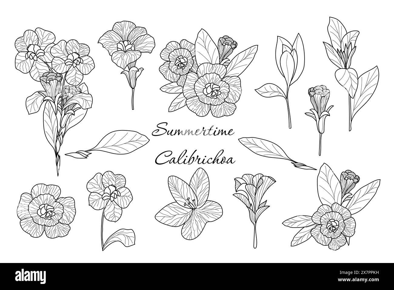 Horizontal flowers background Black and White Stock Photos & Images - Alamy