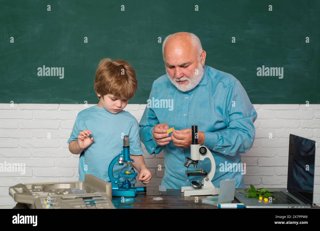 Biology experiment. Little kids scientist earning Biology in school lab ...