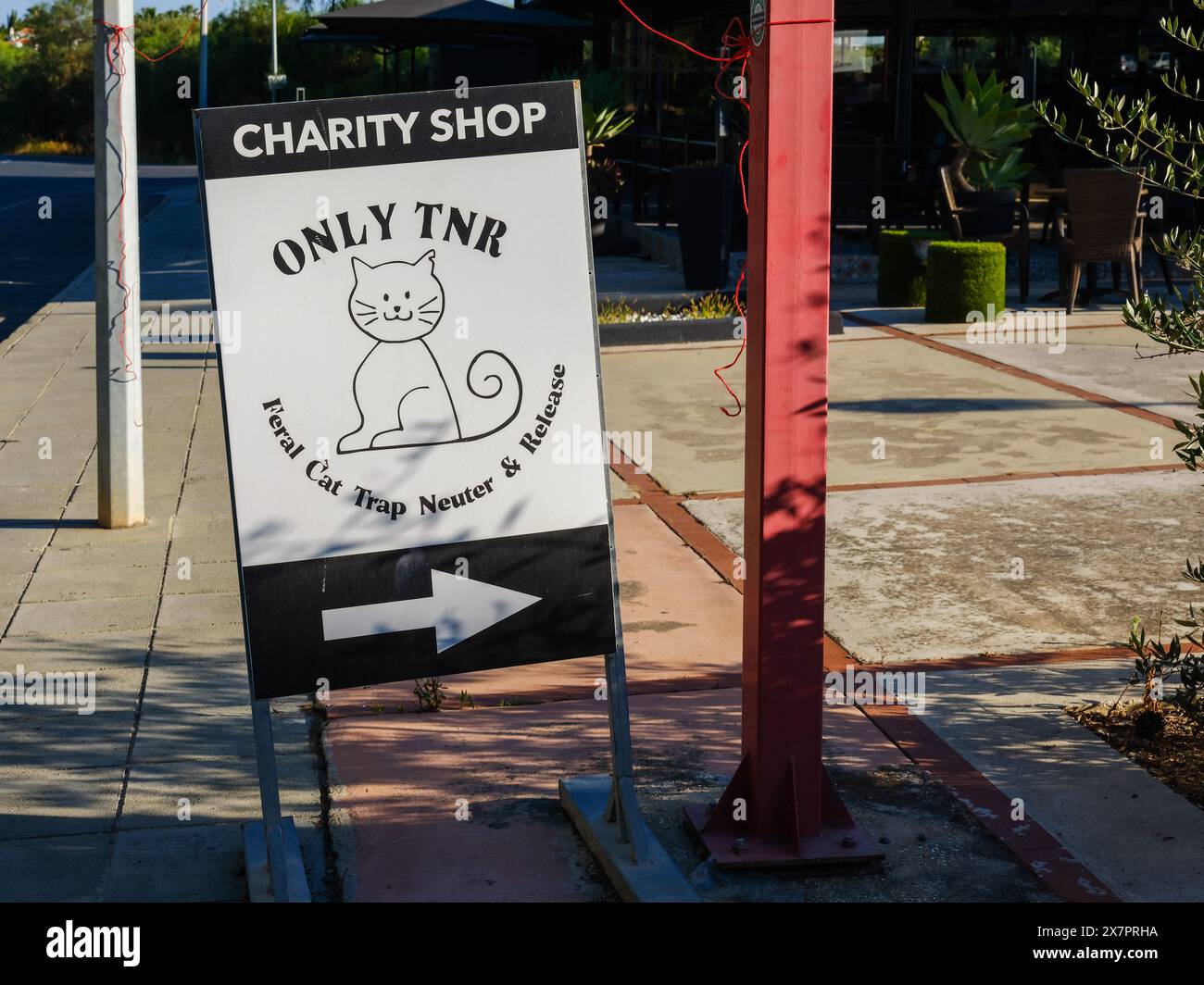 May 2024, Sign advertising a cat charity shop in Pegeia, Pafos, Cyprus ...
