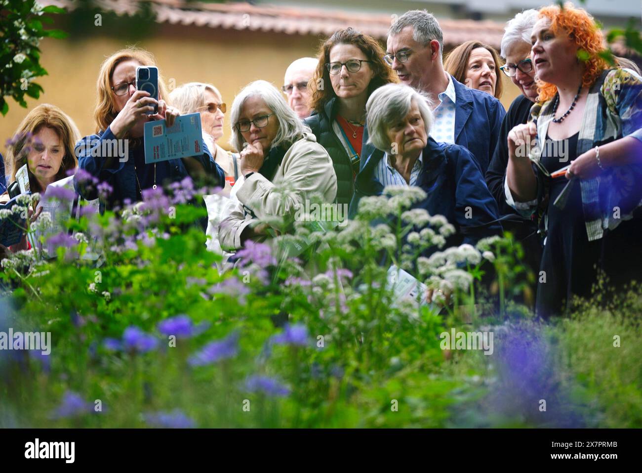 Guests view the Forest Bathing Garden, winner of the RHS Chelsea Best ...