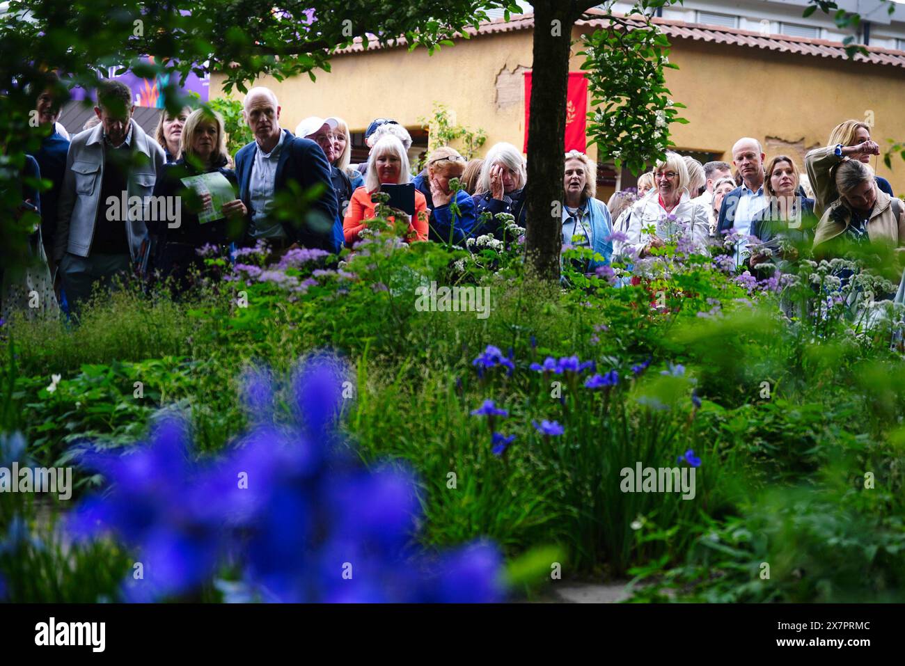Guests view the Forest Bathing Garden, winner of the RHS Chelsea Best ...