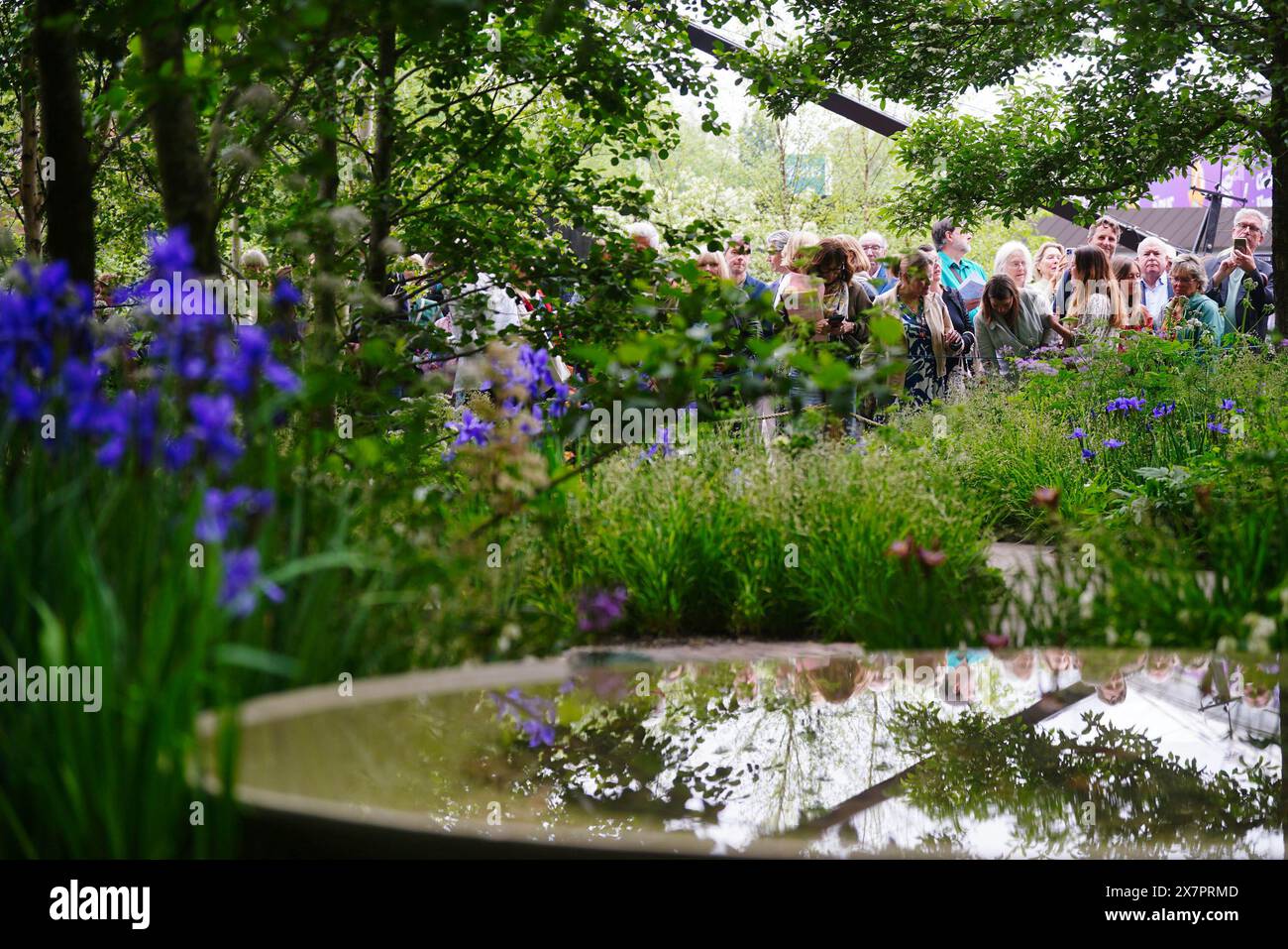 Guests view the Forest Bathing Garden, winner of the RHS Chelsea Best ...
