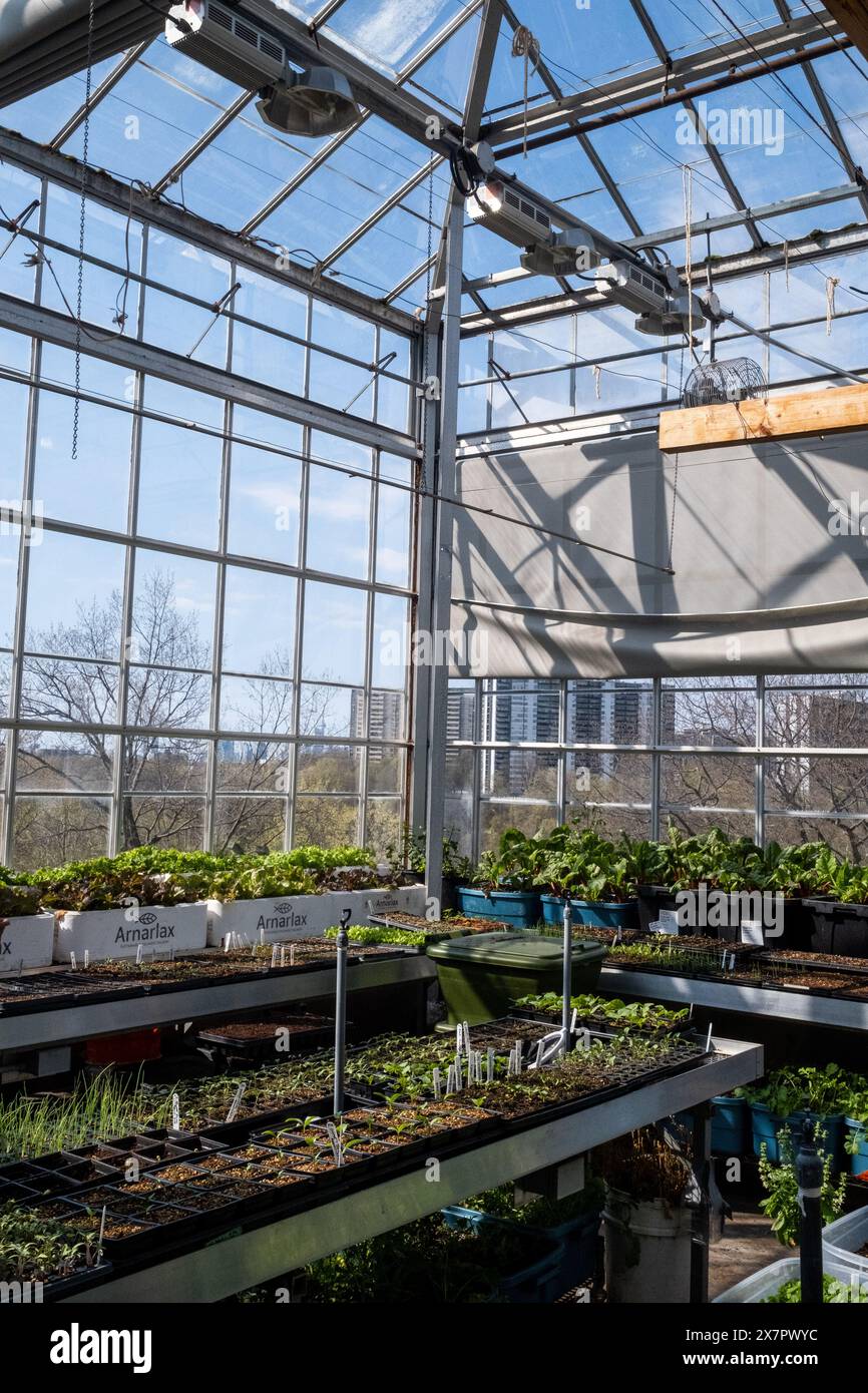 Green salads in the Flemo Farm association's shared garden in a ...