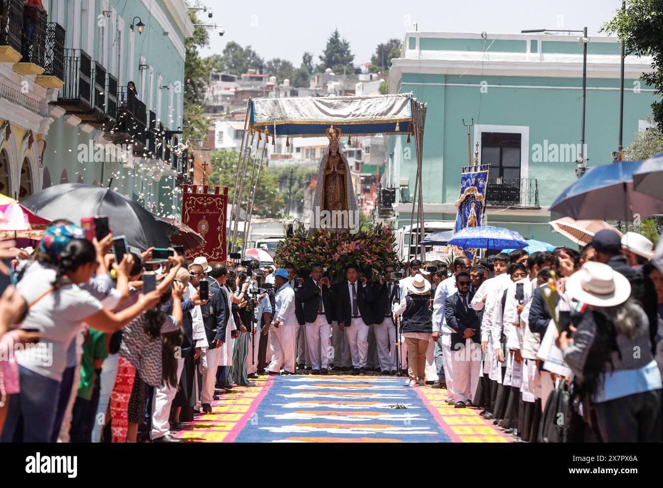 Persons carry the the Virgen de Ocotlán while walking on a sawdust ...