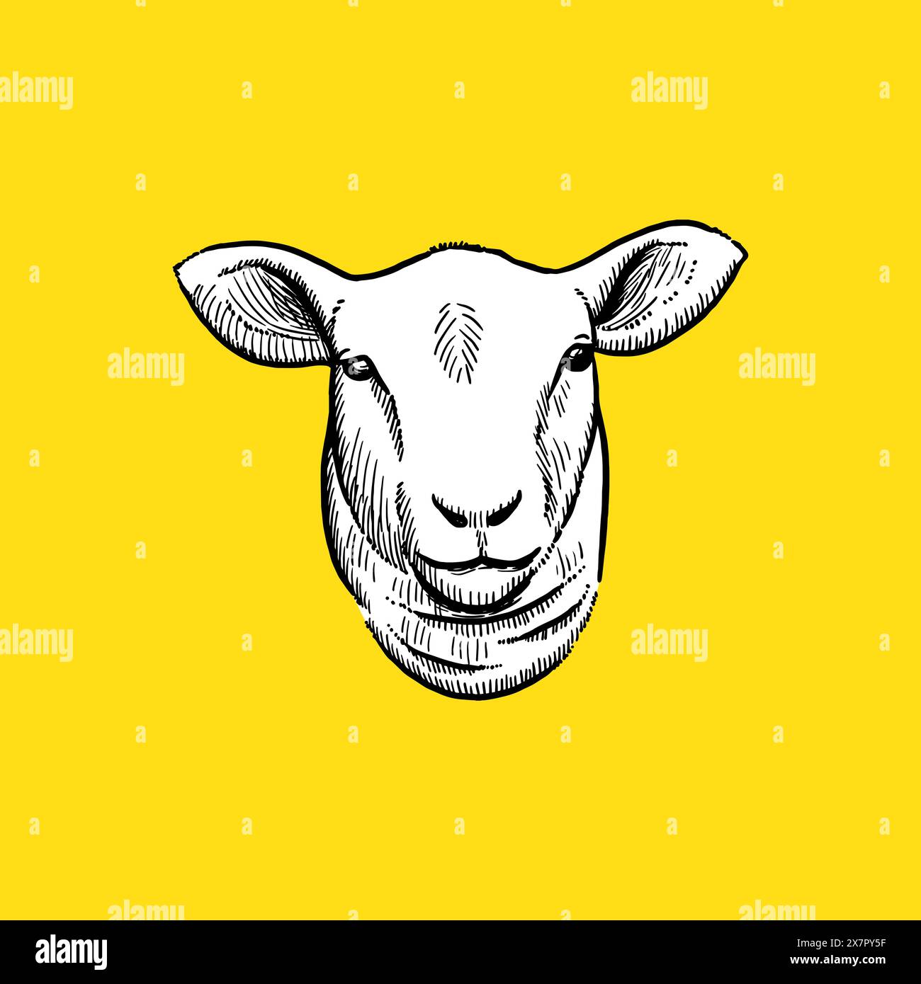 Vintage Sheep Head. Sketh and Drawing Style - Vector. Eid al-Adha ...