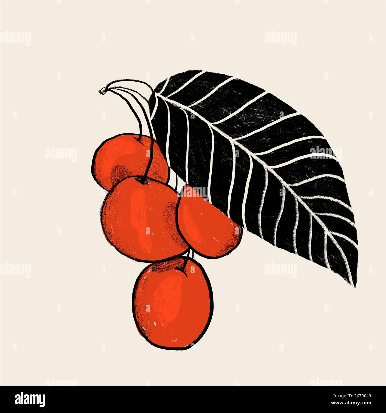 Stylized illustration of ripe red cherries with a large leaf on a light ...