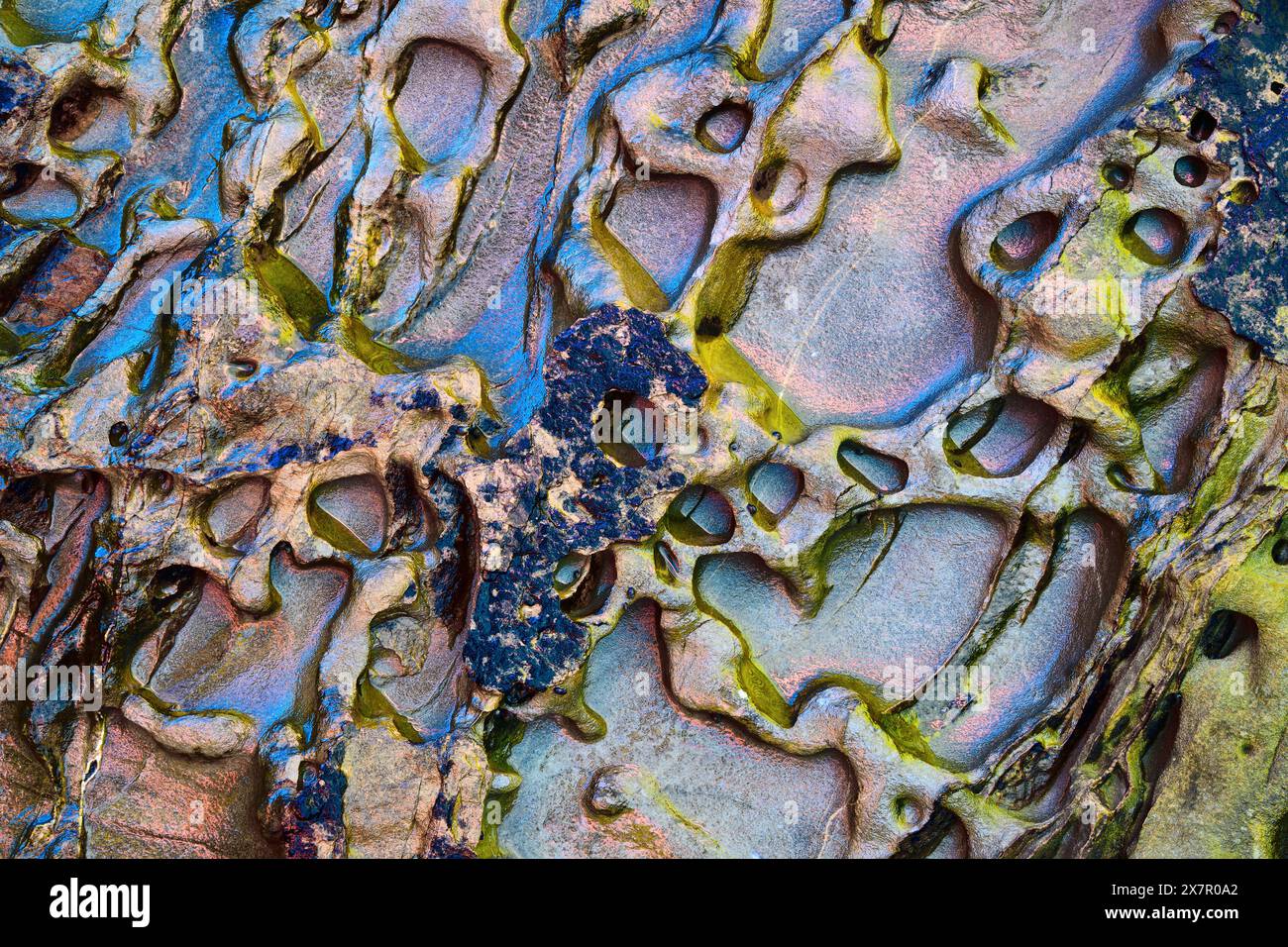 This image features a natural honeycomb erosion pattern with suggestive ...