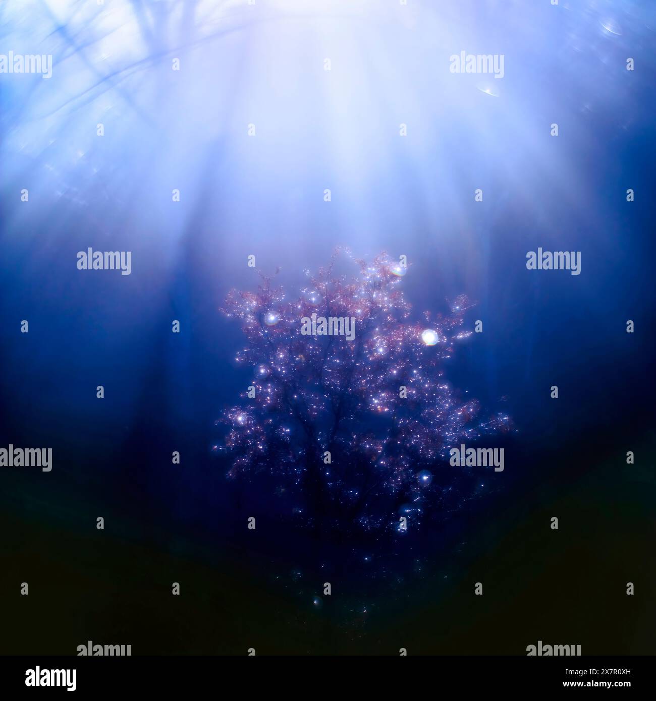 Radiant beams hi-res stock photography and images - Alamy