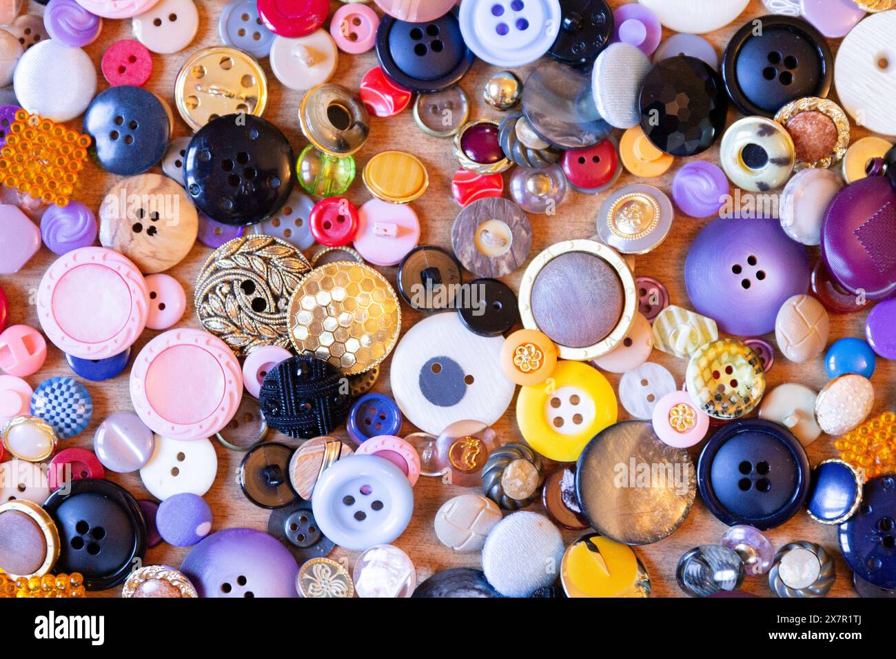 Displaying diverse sizes hi-res stock photography and images - Alamy