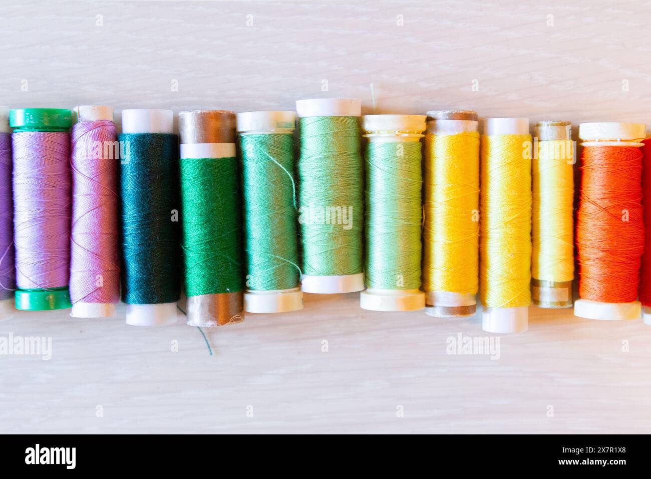 A vibrant array of sewing threads neatly aligned, showcasing a spectrum ...