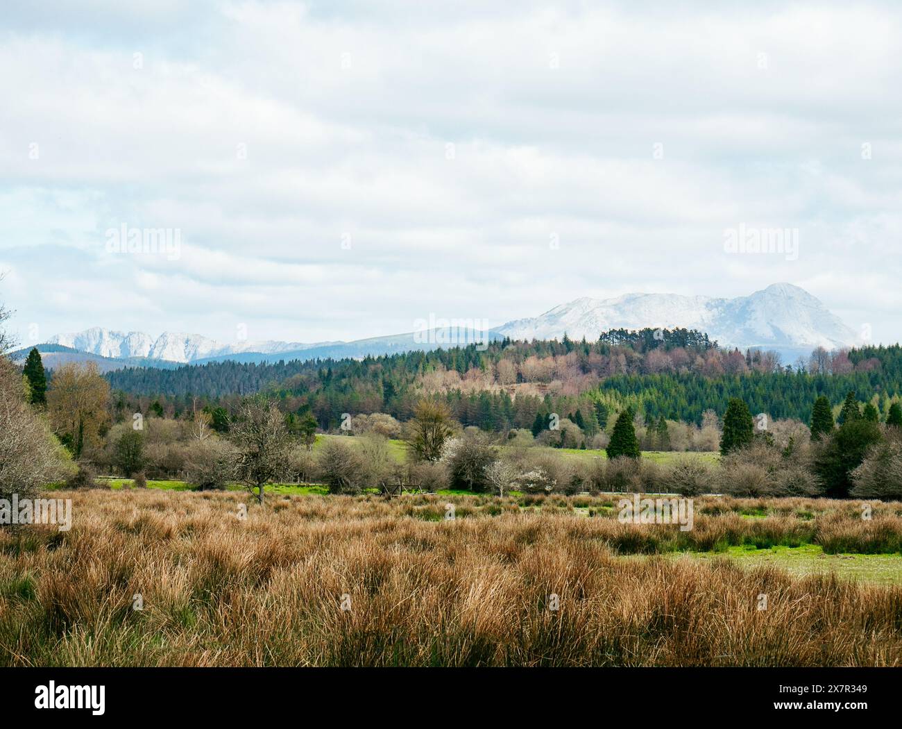 A serene landscape featuring a snow-capped mountain in the distance ...
