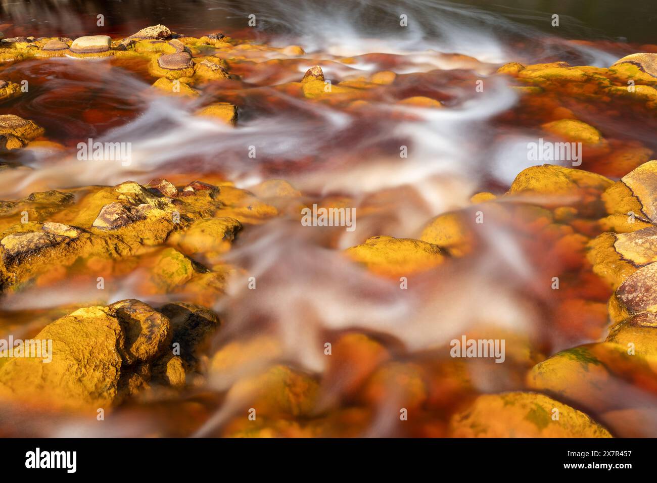 Captivating photograph highlighting the vibrant, surreal colors of ...