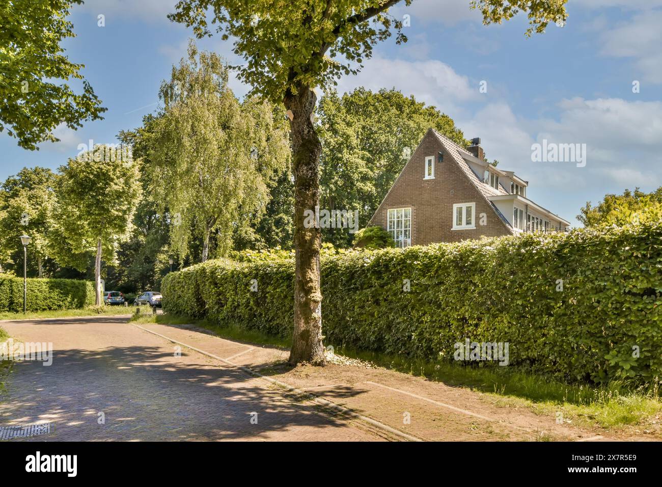 A serene suburban street scene on Molenveenweg with a large, well ...