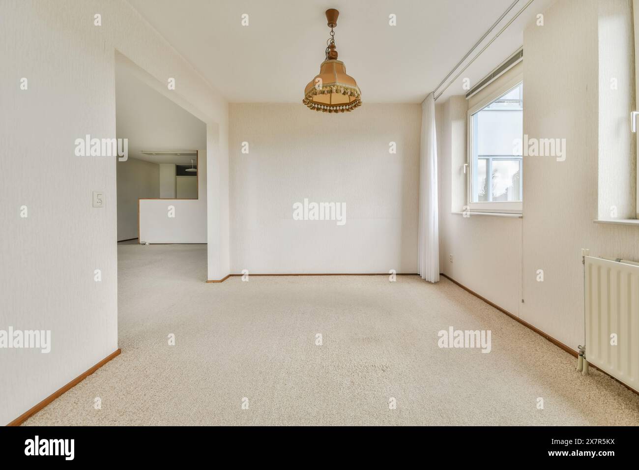 Spacious and well-lit empty room featuring a textured carpet, large ...