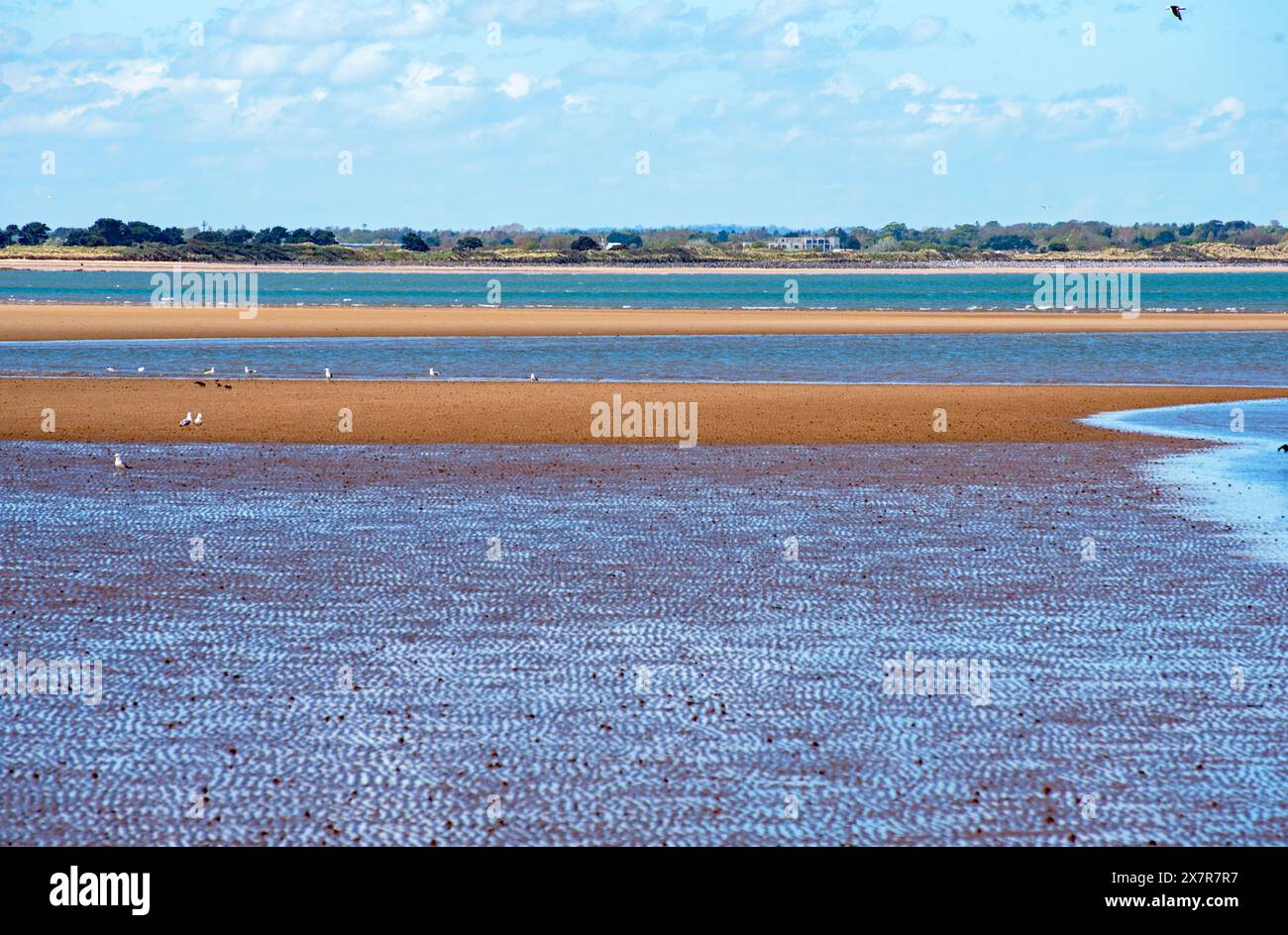 View on Sutton beach in Howth peninsula when tide is out, Ireland Stock ...