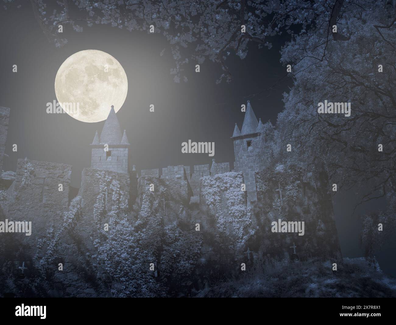 Mysterious medieval castle in a full moon night Stock Photo - Alamy