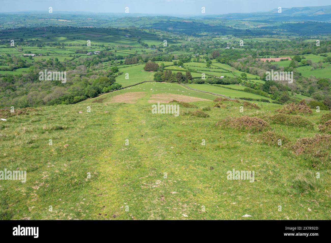 View of Usk Valley from Bryn Teg, Brecon Beacons National Park, Powys ...