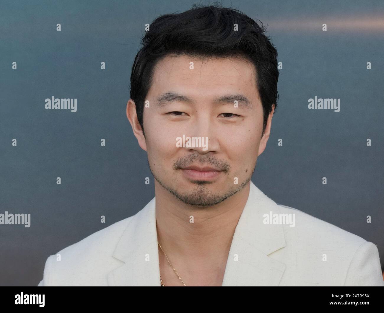 Los Angeles, USA. 20th May, 2024. Simu Liu arrives at the Netflix's ...