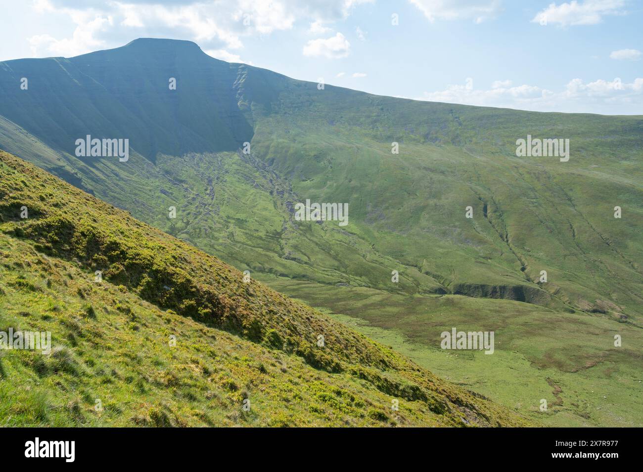 View of north-east Pen y Fan from the Cribyn Stock Photo - Alamy