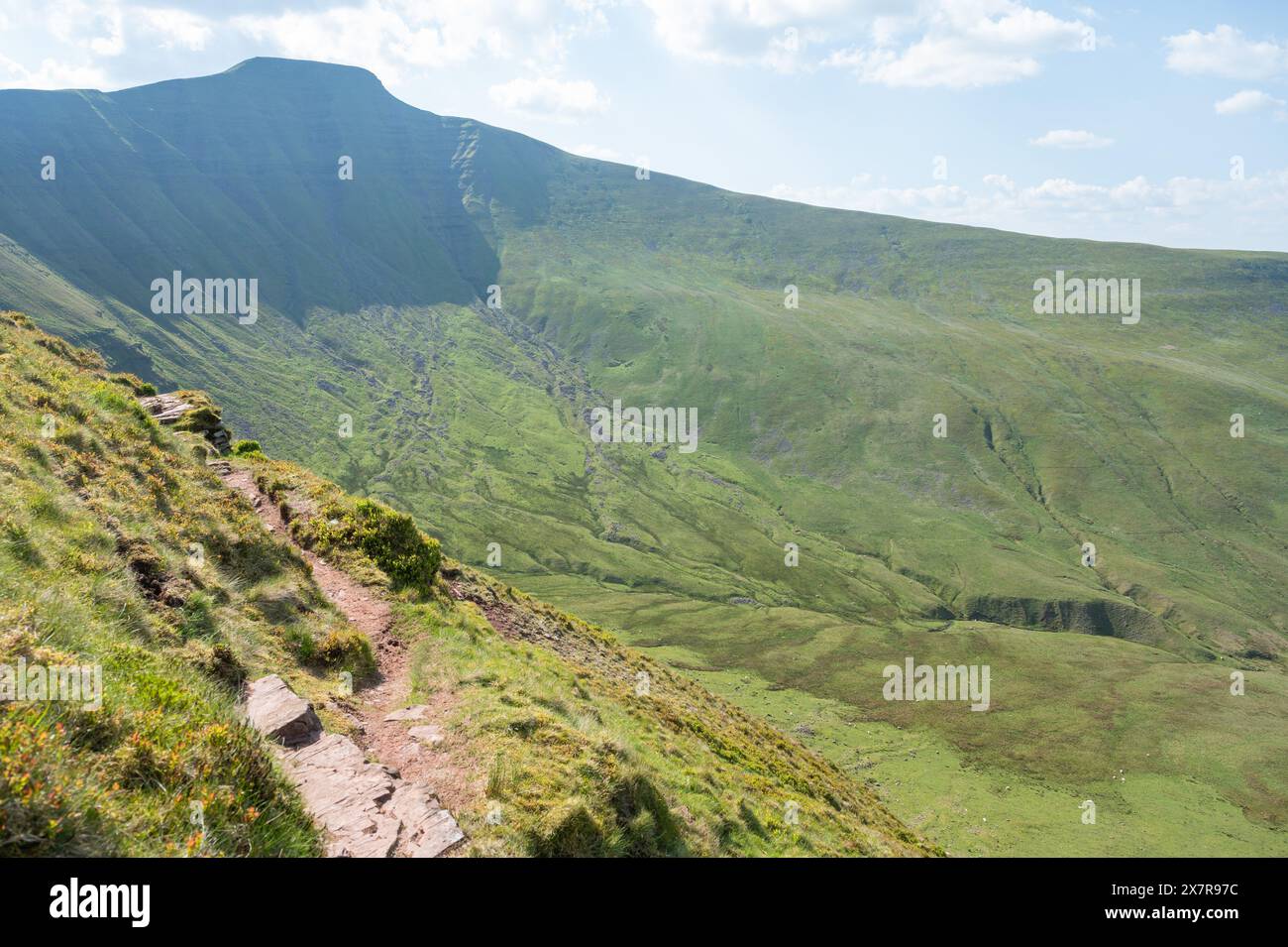 View of north-east Pen y Fan from the Cribyn Stock Photo - Alamy