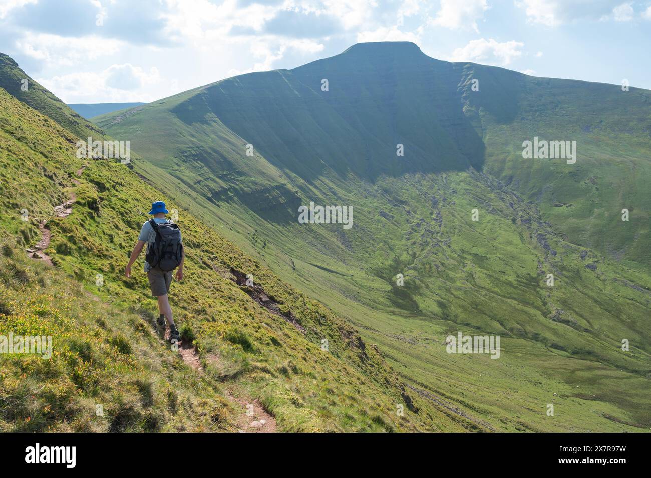 Man walking on Cribyn face footpath, north-east face of Pen y Fan Stock ...