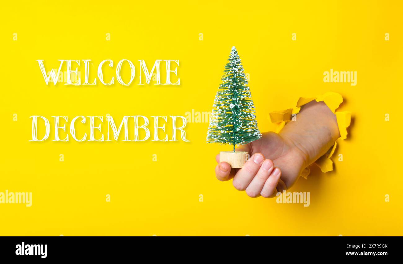 A hand holding a small Christmas tree in front of a yellow background ...