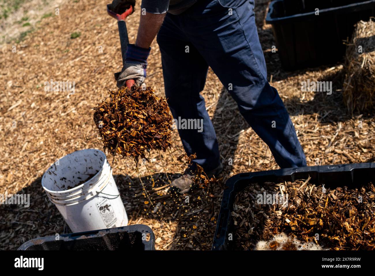 Sean from Crooked Farmz, a Toronto-based microfarm that produces small ...