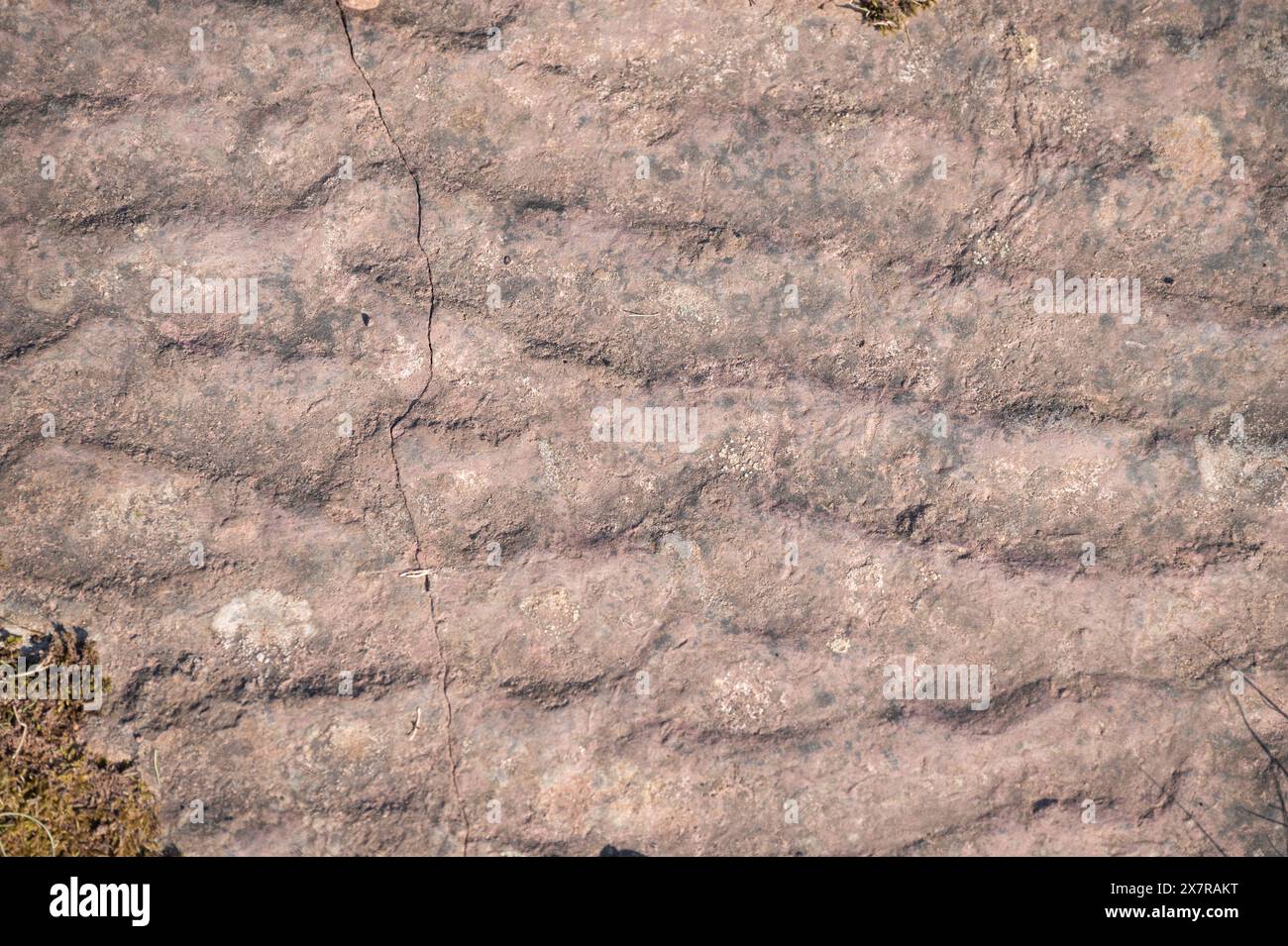 Water ripple marks in rocks on summit of Pen y Fan Stock Photo - Alamy