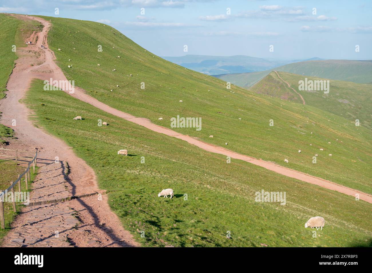 Paths leading up to the summit of Pen y Fan, Brecon Beacons Stock Photo - Alamy