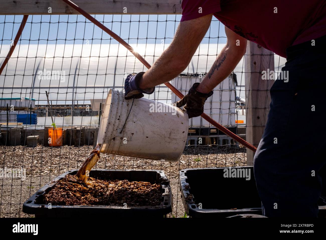 Sean from Crooked Farmz, a Toronto-based microfarm that produces small ...