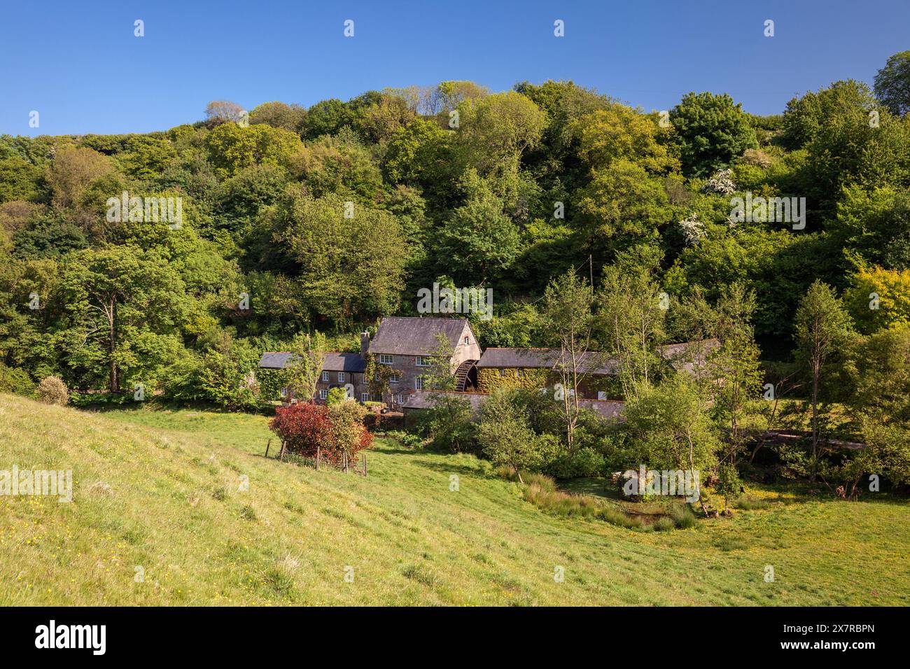 England, Devon, South Hams, East Cornworthy, Brambletorre Mill Stock ...